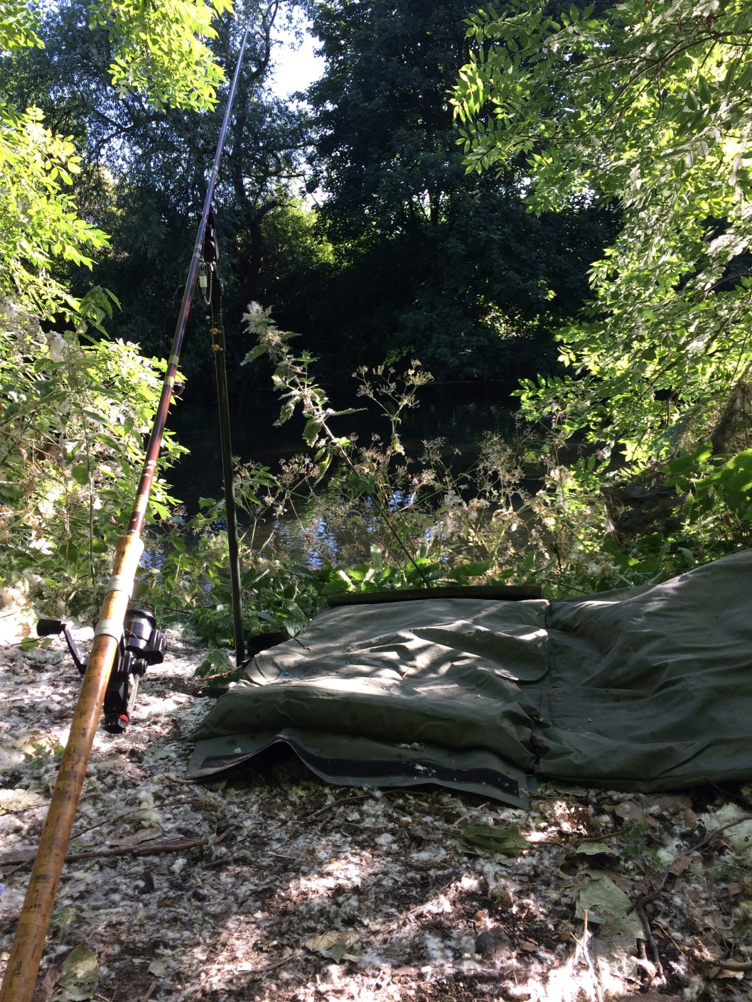 the tuesday swim... | Page 4