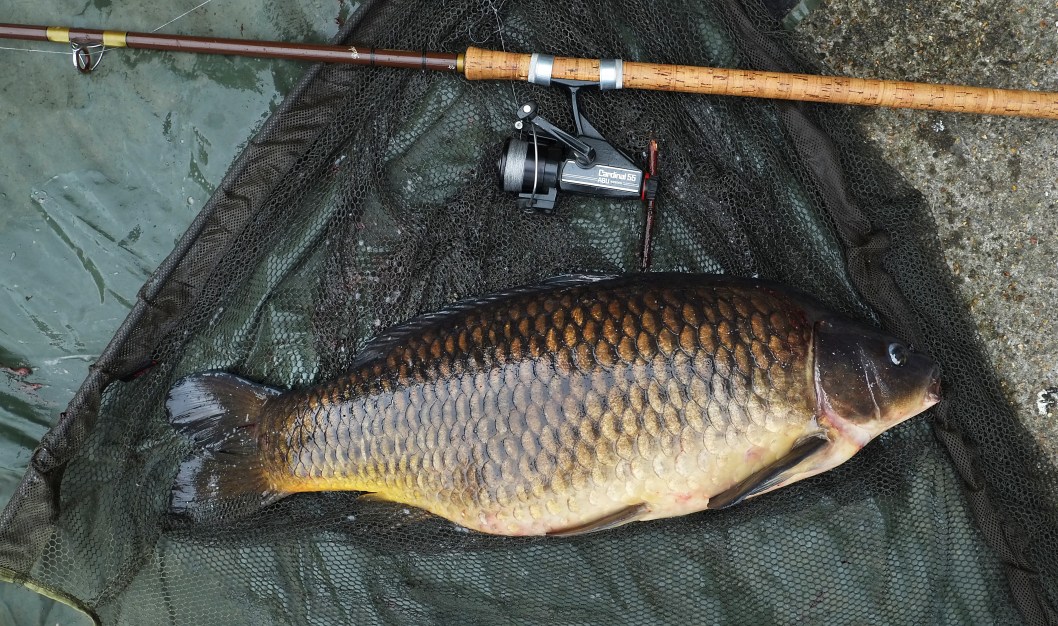 the tuesday swim... | Page 4